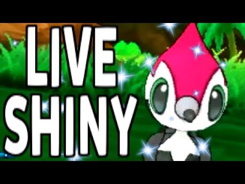 Shiny Pikipek reaction | Live Pokémon Sun and Moon shiny hunting