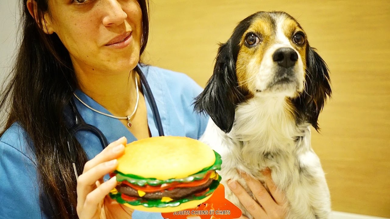 Will this dog like a plastic hamburger?