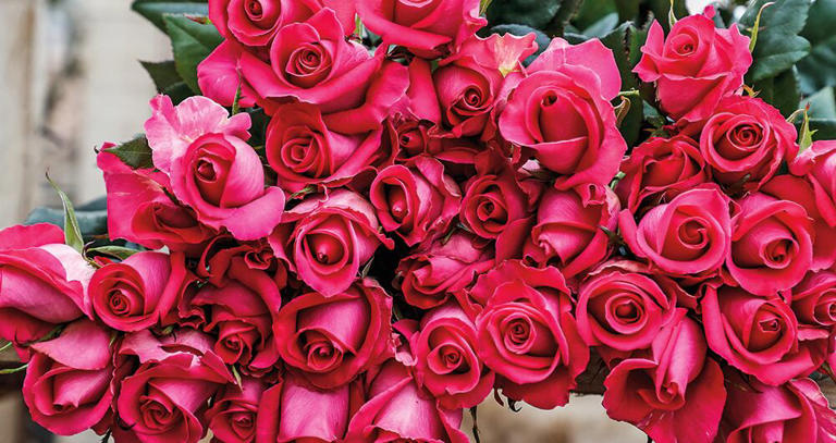 Feng Shui, este es el sitio ideal para colocar las flores y llenar el ...