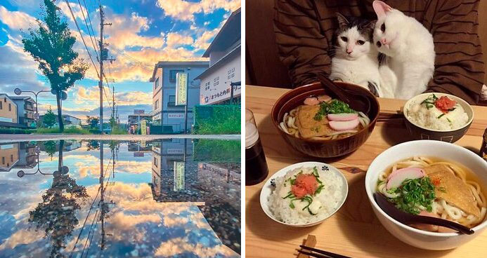26 Cool Posts About All Things Japan That Prove It’s A Country Like No ...