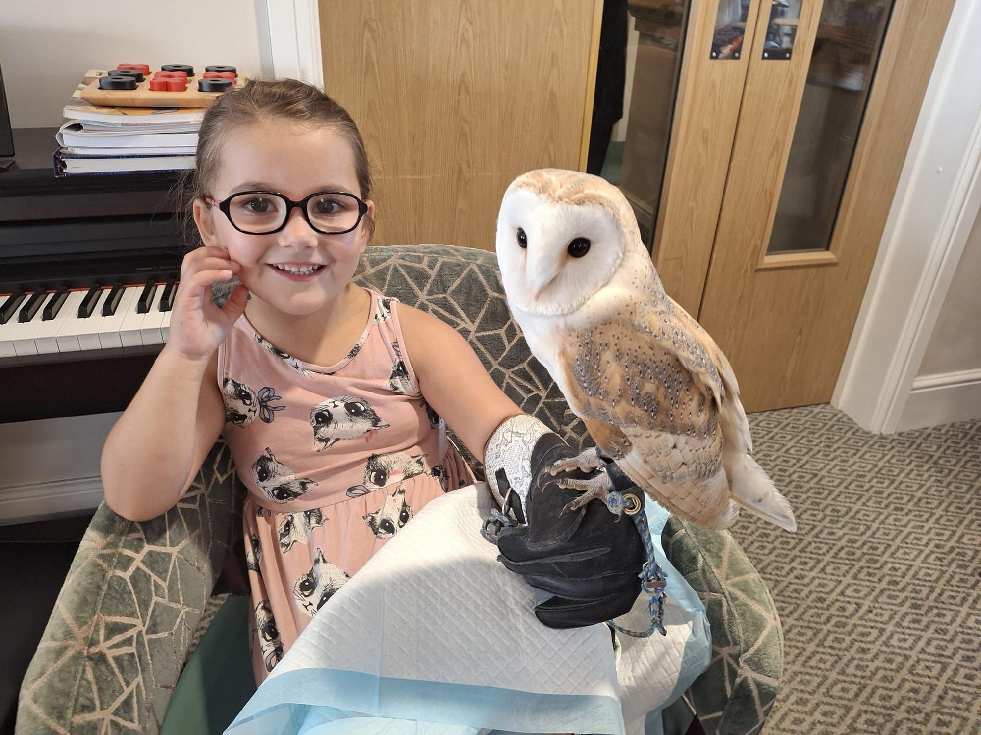 Feathers and fascination as Jubilee House welcomes birds of prey for ...
