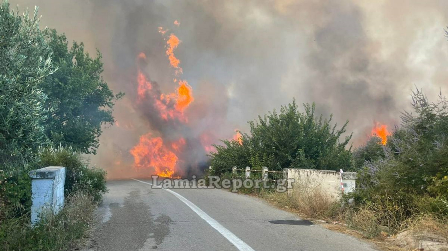 Μεγάλη φωτιά τώρα στη Στυλίδα - «Ήχησε» το 112
