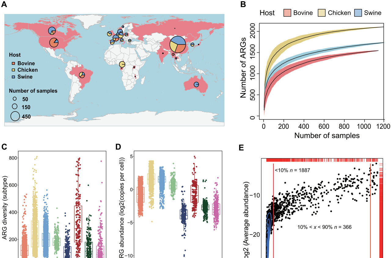 Global study shows worldwide threat of antibiotic resistance in ...