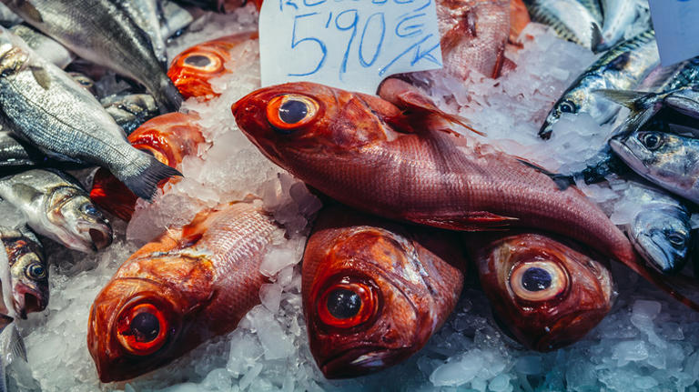 The Popular Deep Sea Fish You Should Think Twice Before Eating