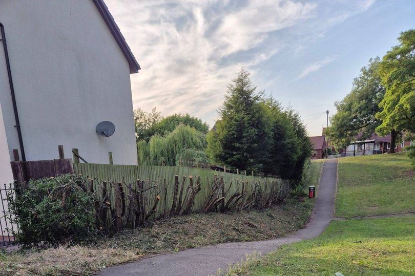 Anger after safety fears lead to 'brutal' treatment of hedgerow