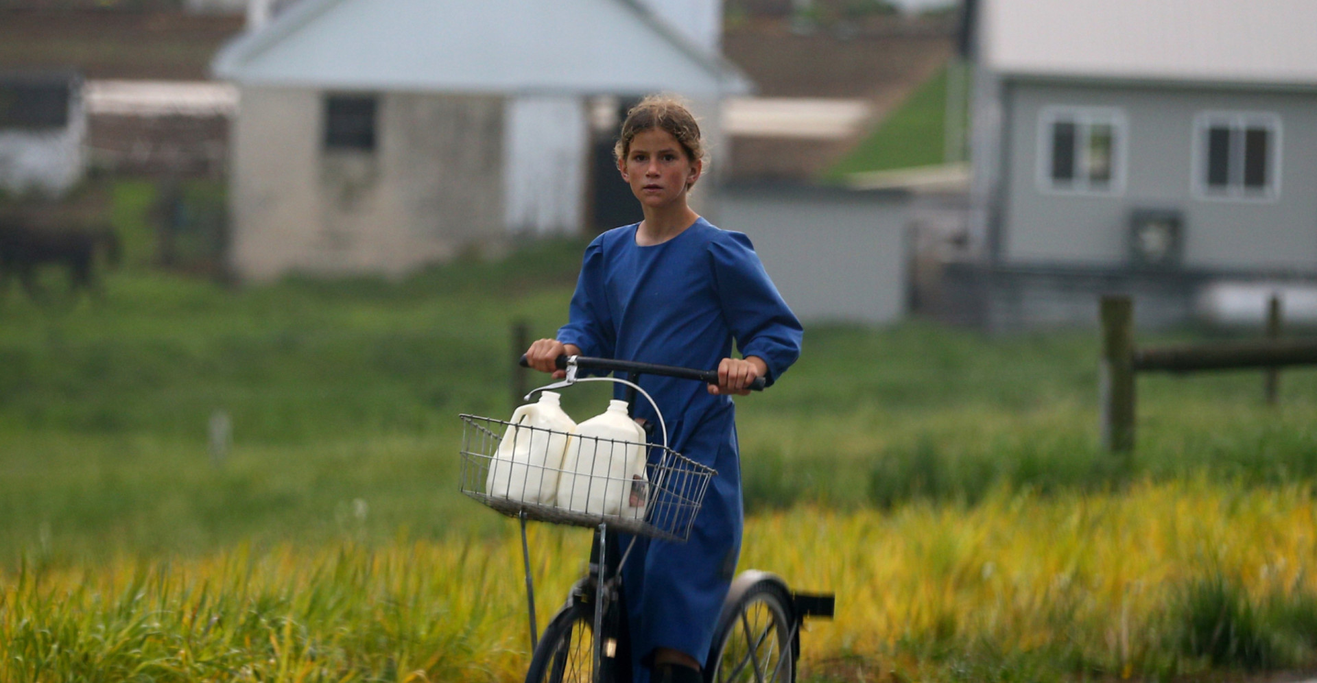 Which US states have the most Amish people?