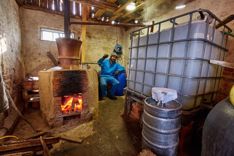 Tuica: Traditional Romanian Brandy (with recipes)
