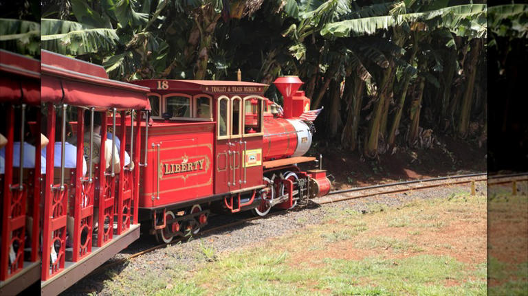 Hawaii's Wildly Popular Dole Plantation Is A Tourist Trap That Isn't ...