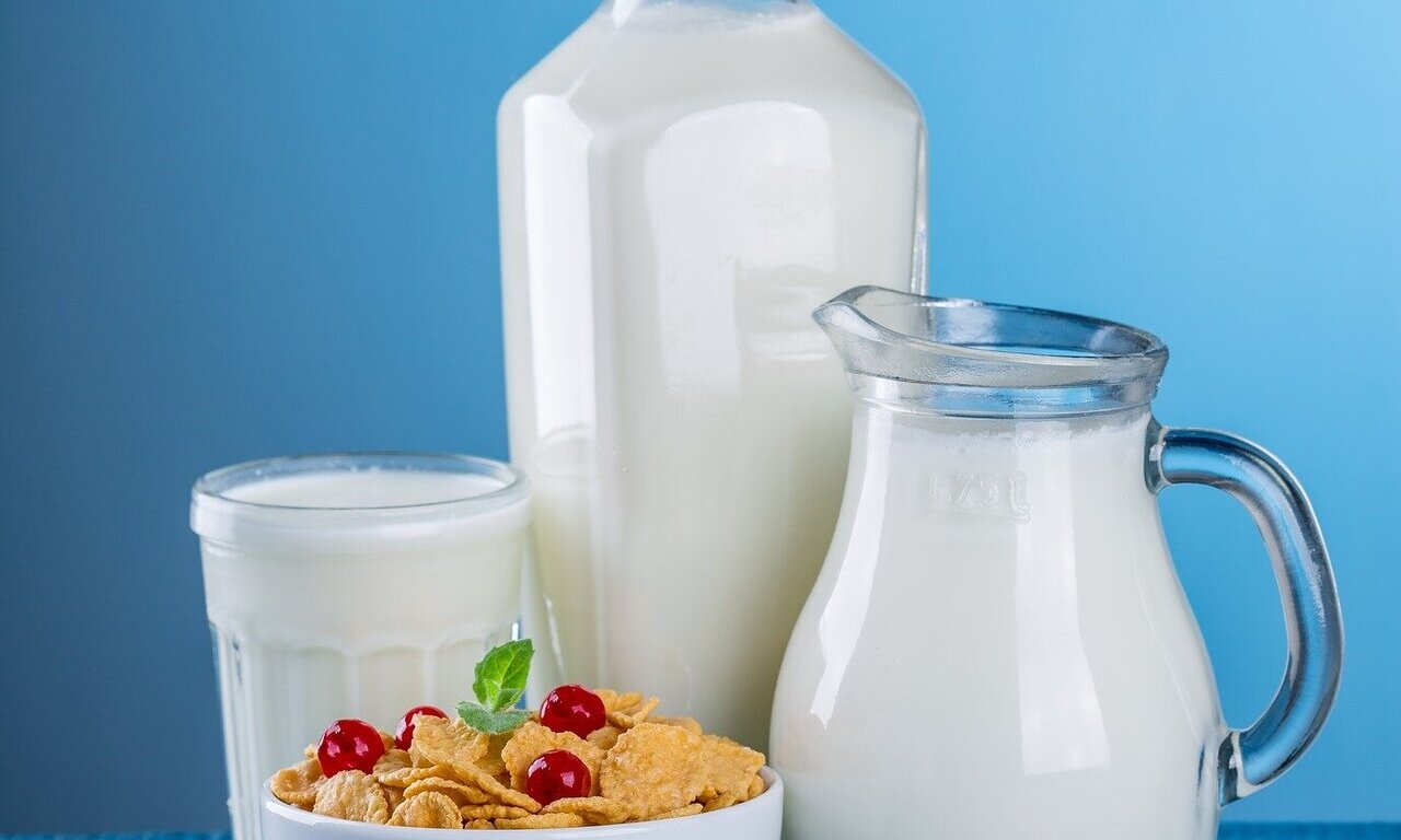 Connection between whole-fat dairy products and better heart health