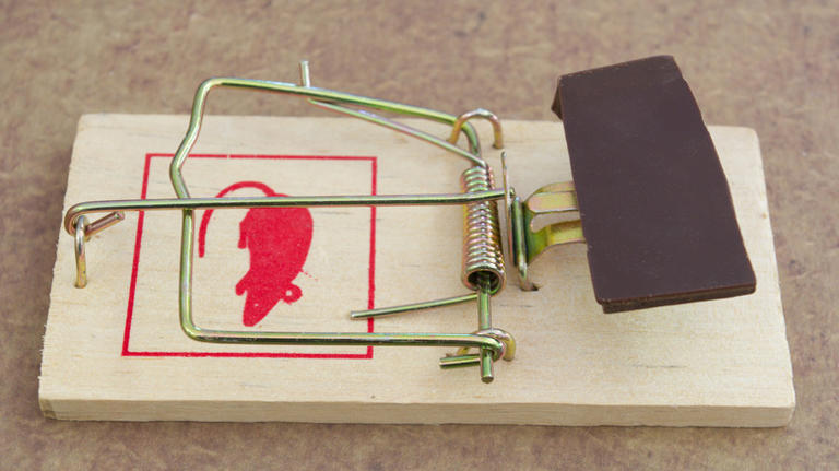 If Mice Are Avoiding Your Traps, This Could Be Why