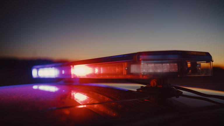 Crash on freeway in Millbrae leaves driver dead after reportedly ...