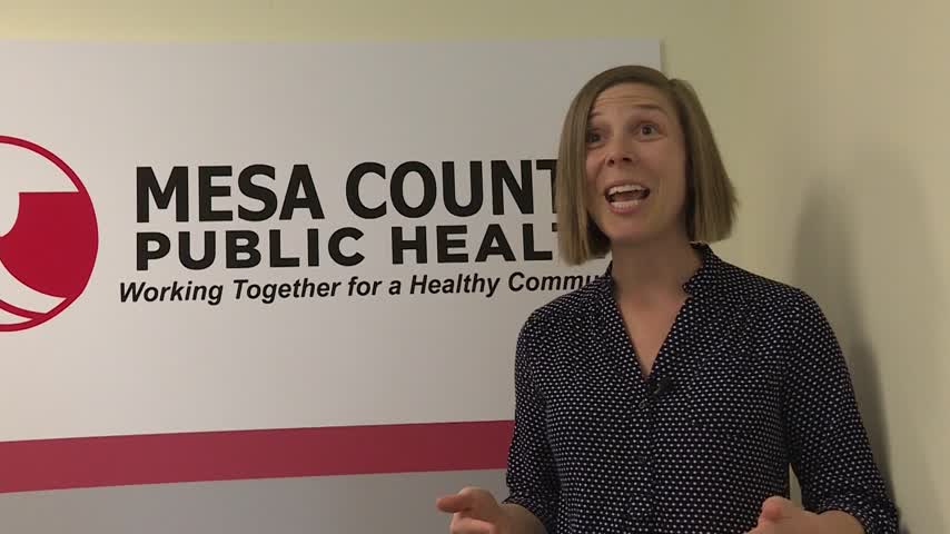 Tracker for Mesa County’s CHIP now available