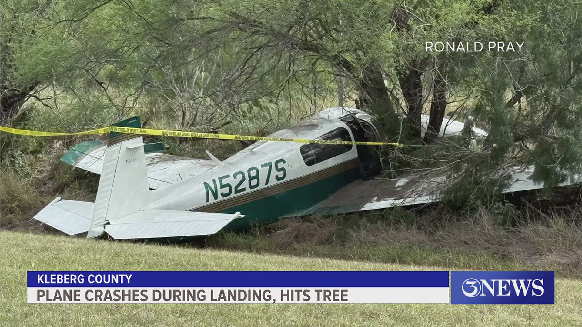 Plane crashes during landing, hits tree