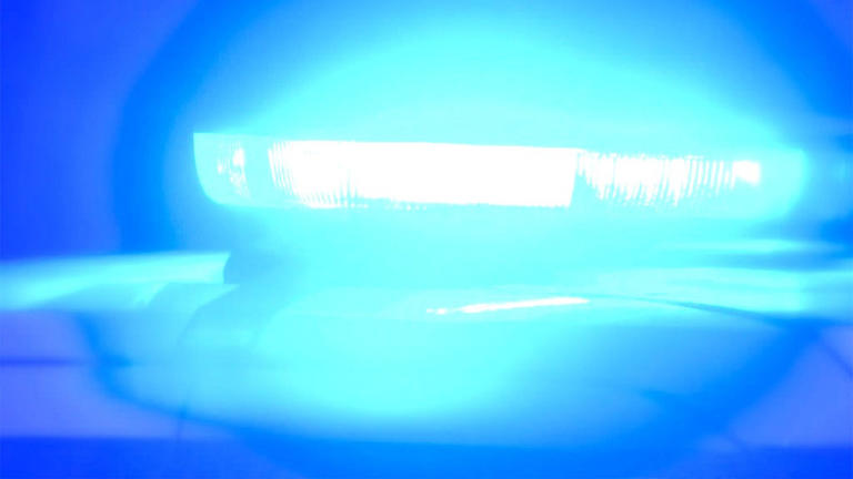 Shooting leaves man, 36, dead in Chicago's Roseland community