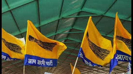 AAP plans deep rural reach in UP before panchayat polls