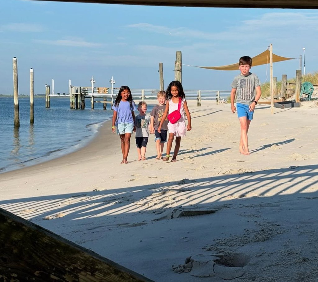 Dylan Dreyer celebrates new chapter with beach photo during reunion ...