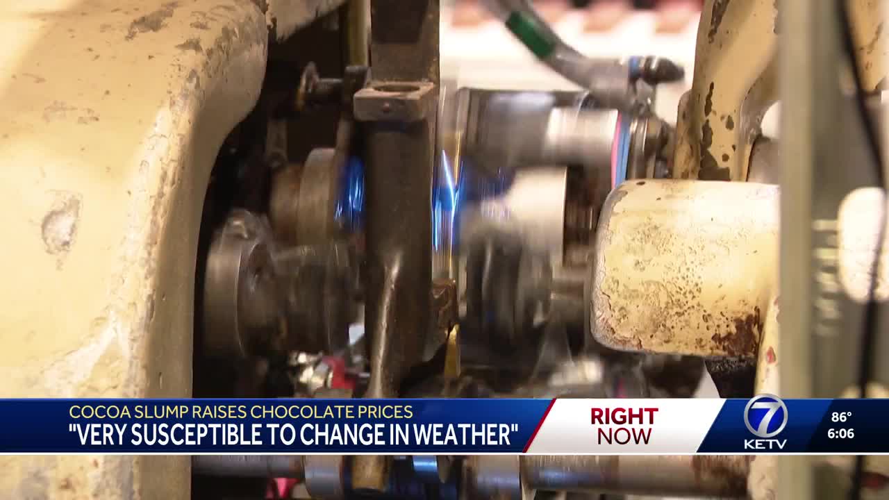 Cocoa slump raises chocolate prices