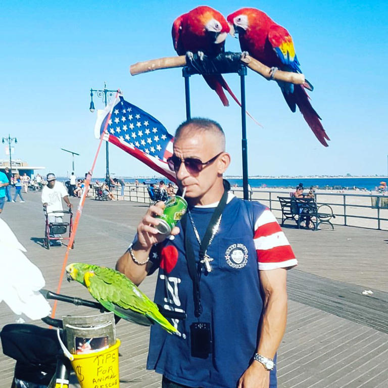 Will bird sale ban take flight in New York?