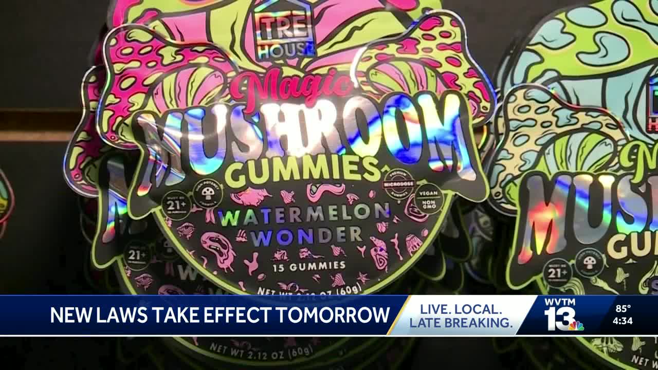 New state laws go into effect on July 1st