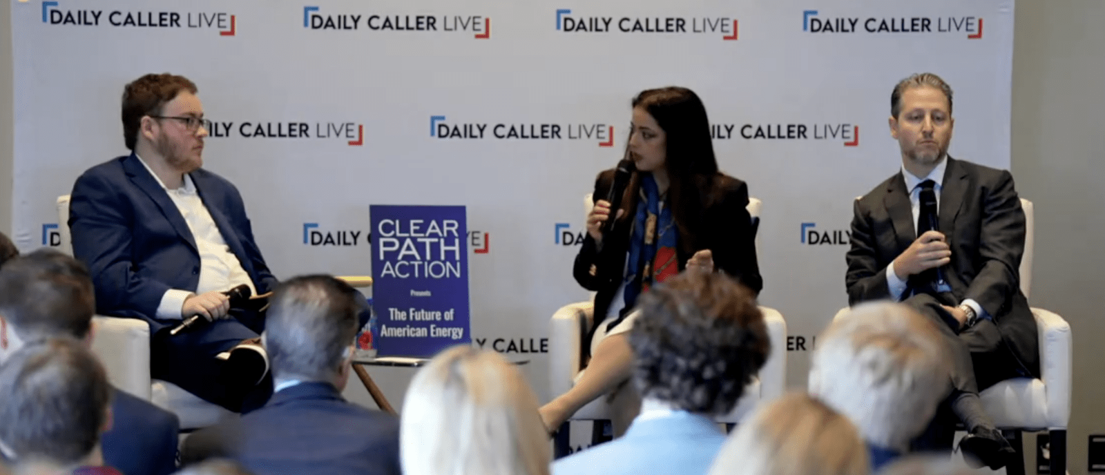 Future Of American Energy Batteries And Solar? Some Industry Experts ...