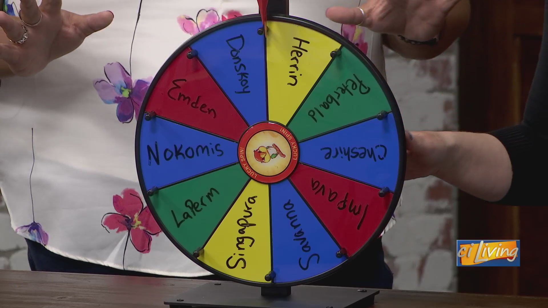 Is it a Cat? Or a Spot on the Map?