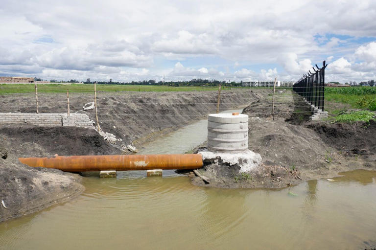 Zimbabwe Plans To Save Wetlands — Just Not Its Own