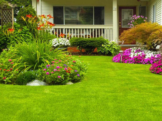 11 Front Yard Landscaping Ideas We Love