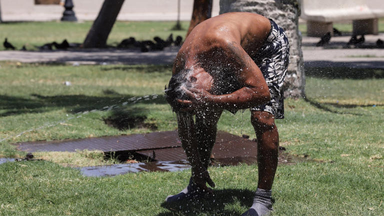 What Do Apes Eat? 9 Top Foods in Their Diet