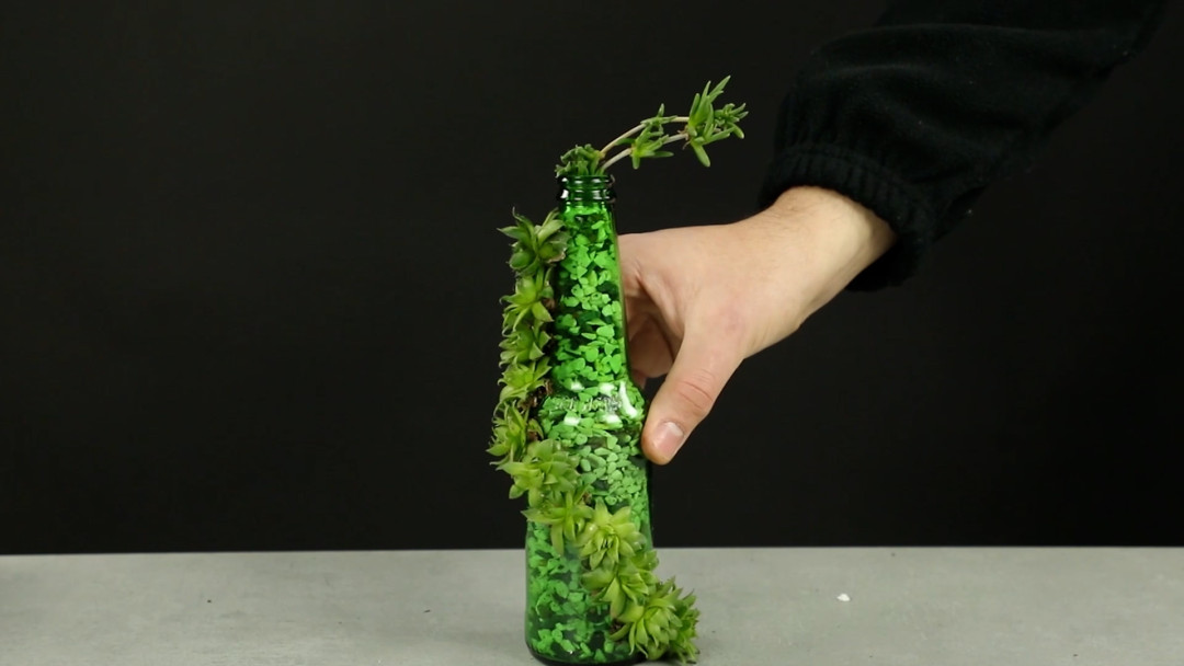 Stunning Succulent Ideas using Recycled Materials