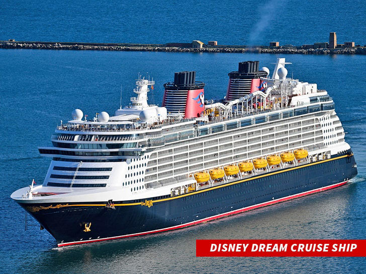 Dad Jumps From Disney Ship to Save Young Daughter, Ocean Rescue on Cam