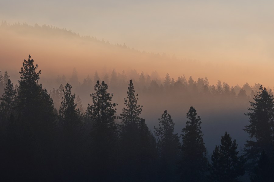 Suspect in Idaho ambush attack dreamed of becoming a firefighter ...