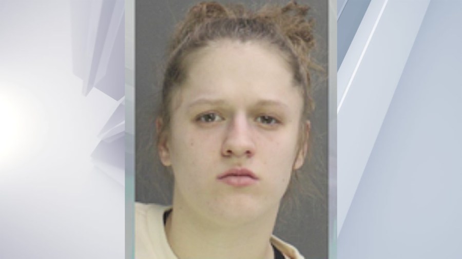 Troy woman sentenced for role in Guilderland dating app robbery scheme