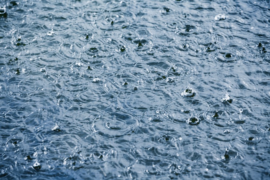 The most rain New Mexico has seen in a singular day