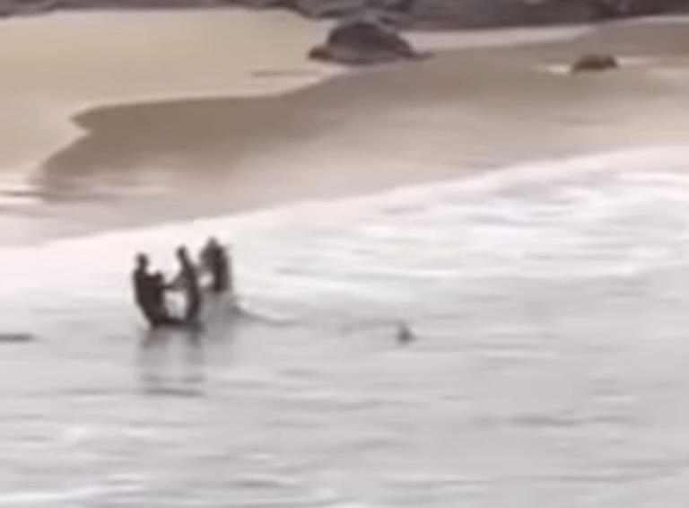 Moment shark chases 16-year-old boy to land after mauling him off ...
