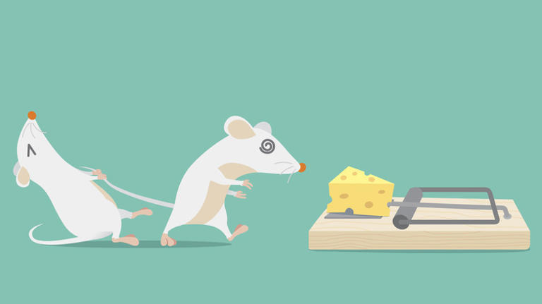 If Mice Are Avoiding Your Traps, This Could Be Why