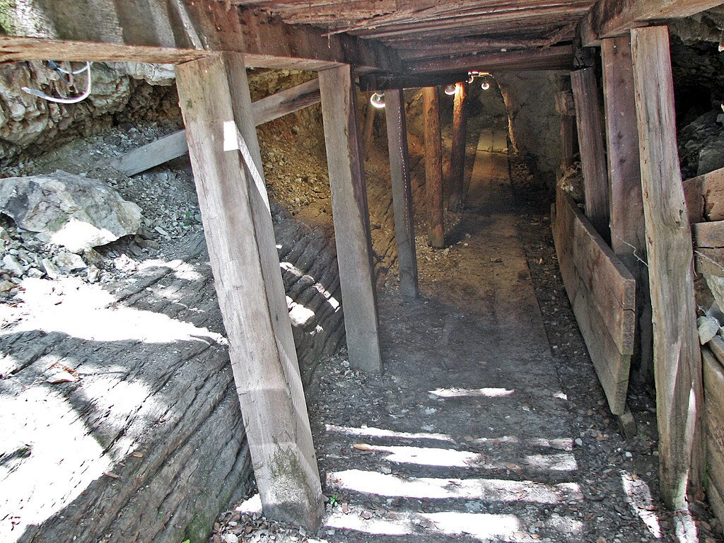 Mount St. Helena buried an entire redwood forest alive and you can walk ...