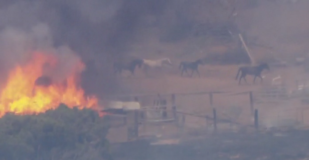 Juniper Fire in Riverside County quickly burns nearly 700 acres before ...