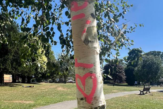 Vandals who targeted trees in Island park condemned on social media