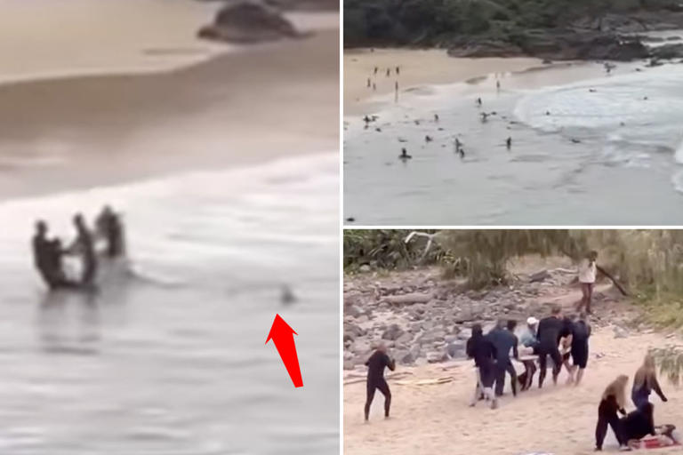 Moment shark chases 16-year-old boy to land after mauling him off ...