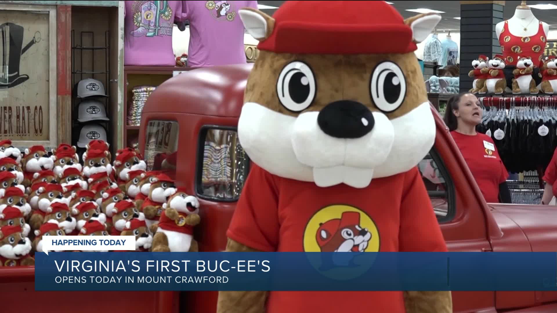 First Virginia Buc-ee's opens with over 100 gas pumps and 70K square ...