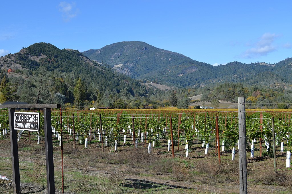 Mount St. Helena buried an entire redwood forest alive and you can walk ...