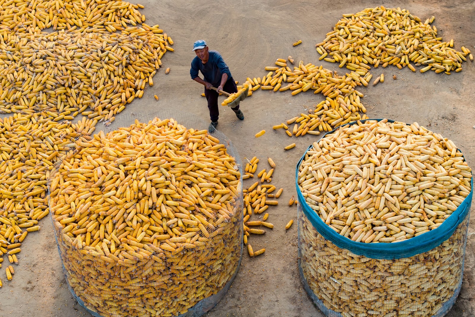 What does climate change mean for agriculture? Less food, and more ...