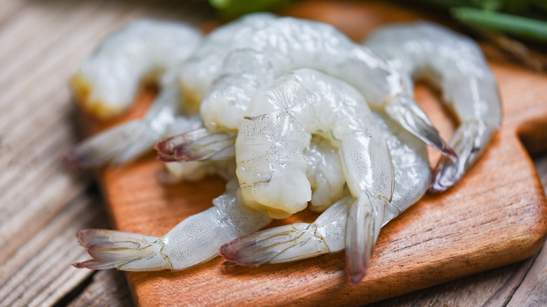 14 Types Of Shrimp You Should Get To Know