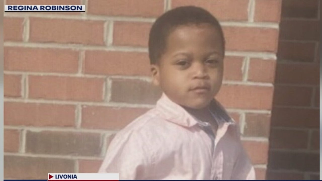Family of 3-year-old boy killed in Livonia hit-and-run: 'A special ...