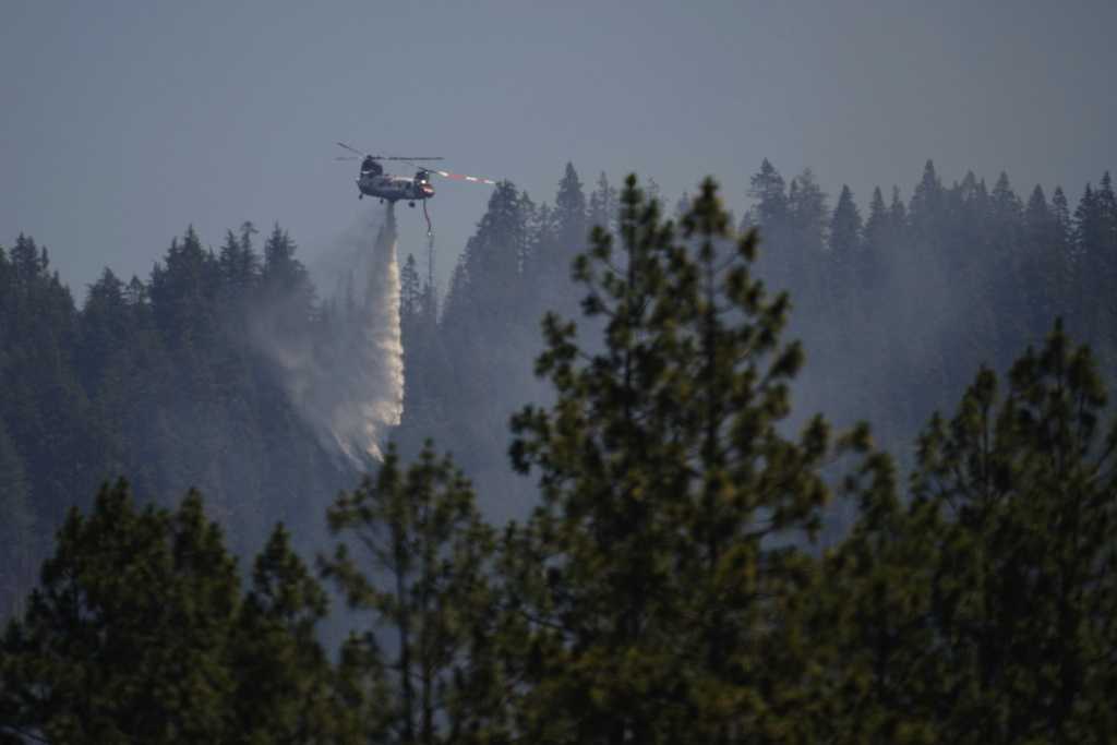 Sheriff says man shot Idaho firefighters who had asked him to move his ...