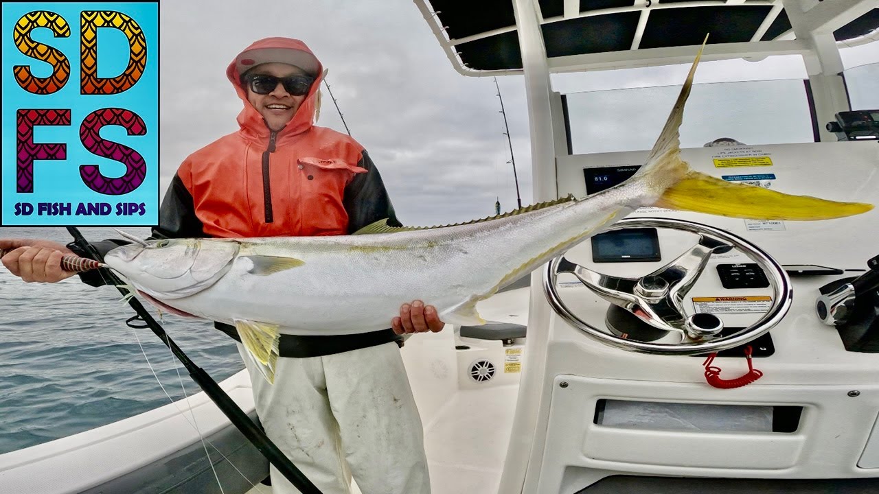 Nam’s New Setup – Yellowtail Fishing La Jolla with Squid | Freedom Boat ...