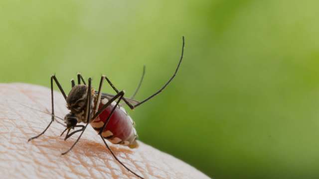 Scientists create incredible new weapon in fight against disease ...