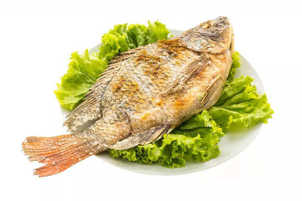Fish or Chicken: Which Is the Better Protein Source?