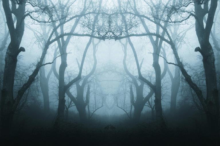 People who've witnessed strange, inexplicably bizarre phenomena are ...