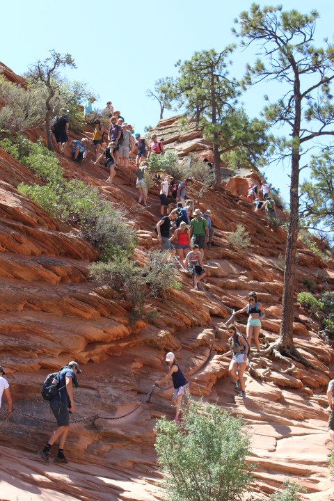 Angel’s Landing trail at Zion National Park closed for repairs